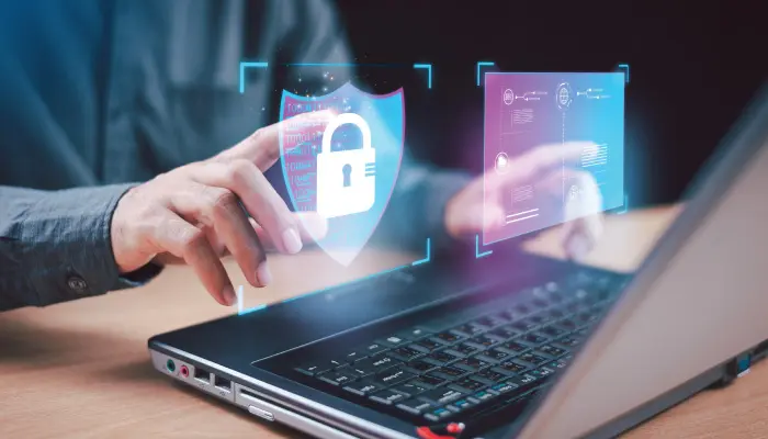 How to Maintain Data Privacy in Your Online Activities